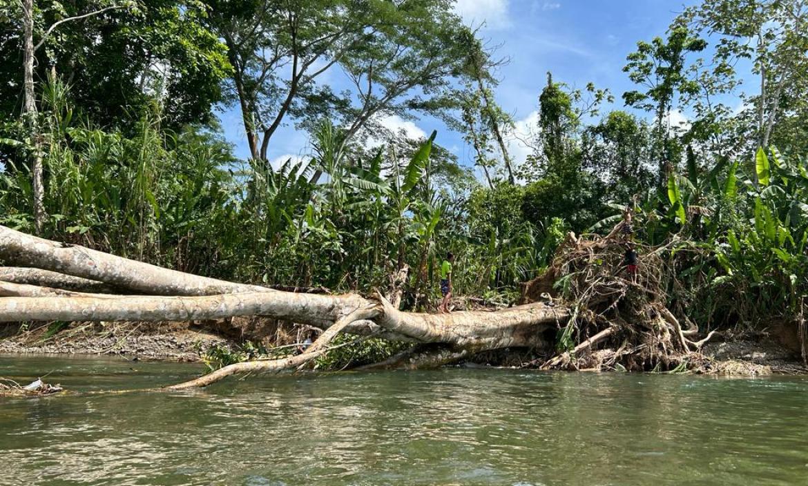 10 migrantes fallecieron tras crecida de río en la selva del Darién