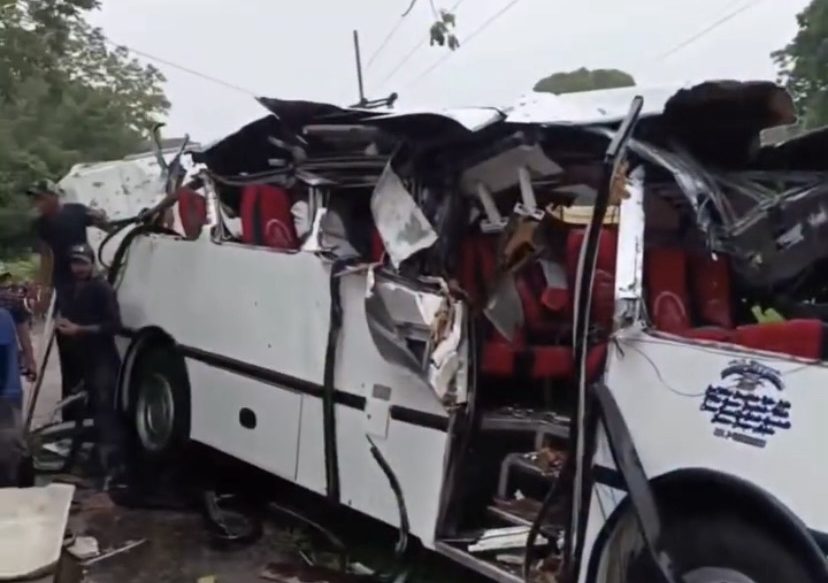 Cuatro personas fallecen tras caer un árbol a una buseta en Táchira